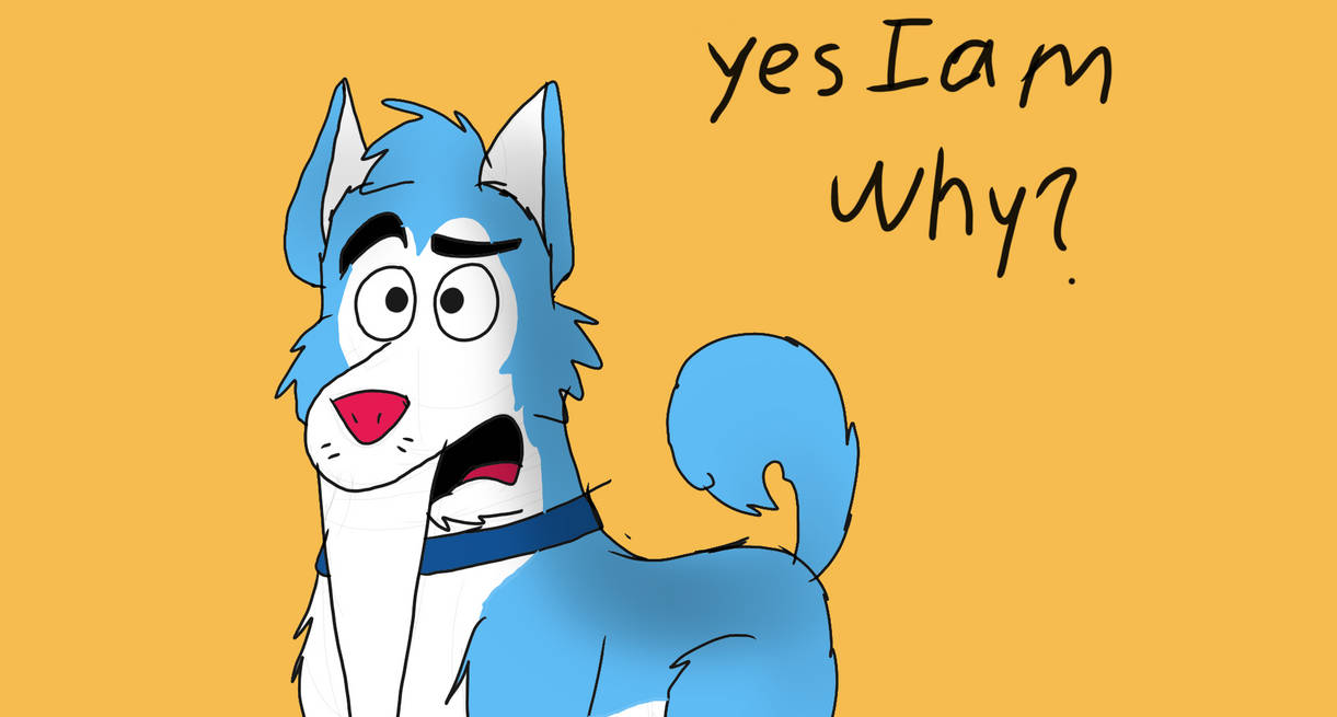 Ask 8 Tusky Husky by idepaz on DeviantArt