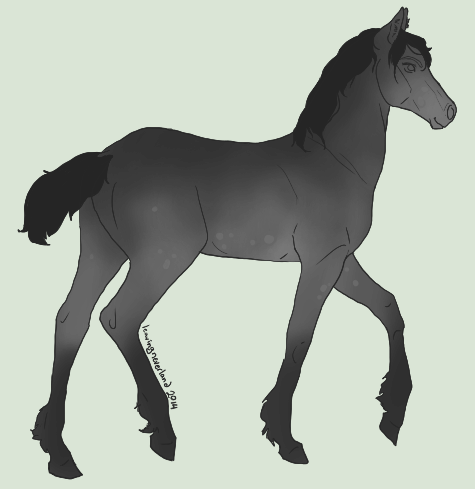 Free Foal Lineart by LeavingNeverland on DeviantArt