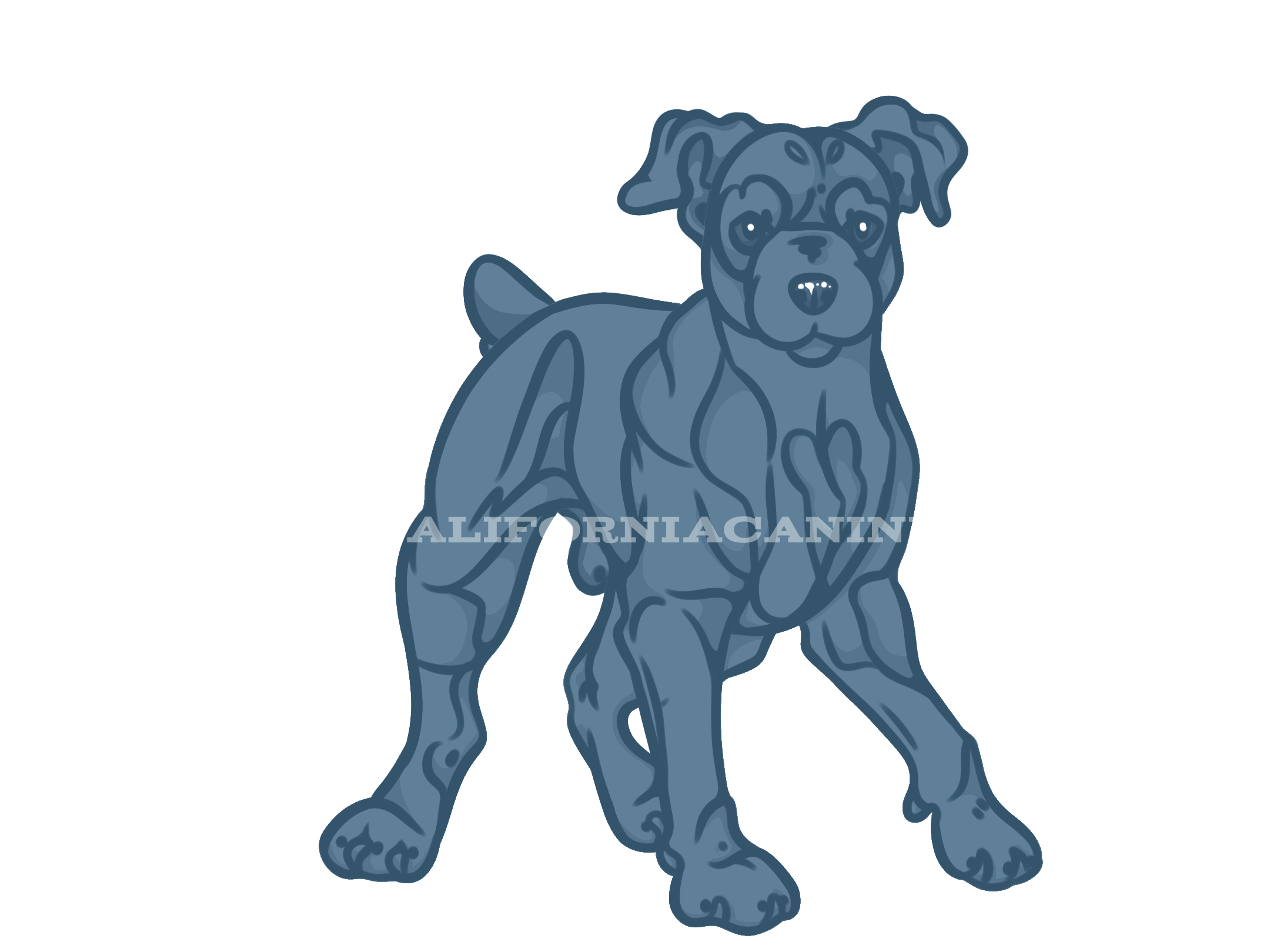 Pay to Use Bull breed base by CalifCanines on DeviantArt