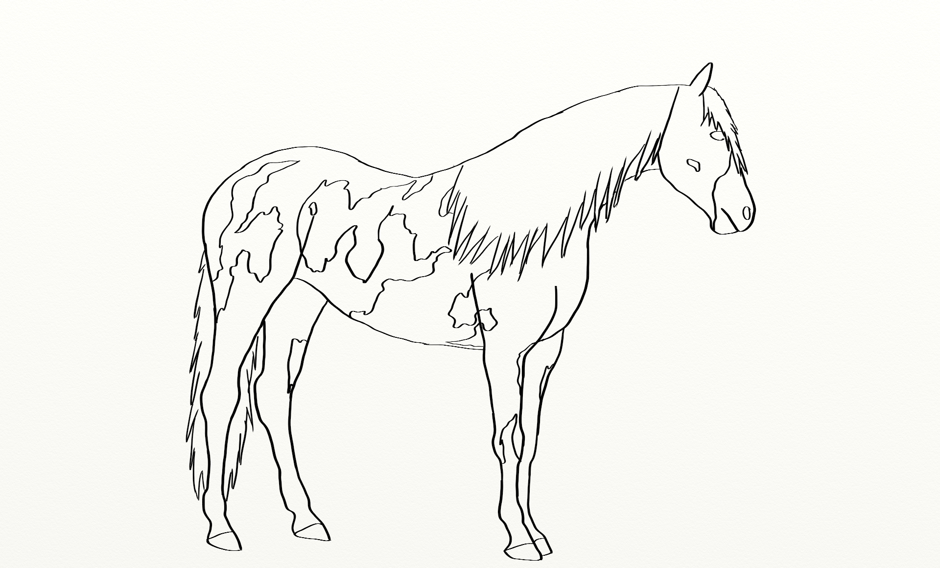 Pinto Horse Lines Request by BV-Academy on DeviantArt