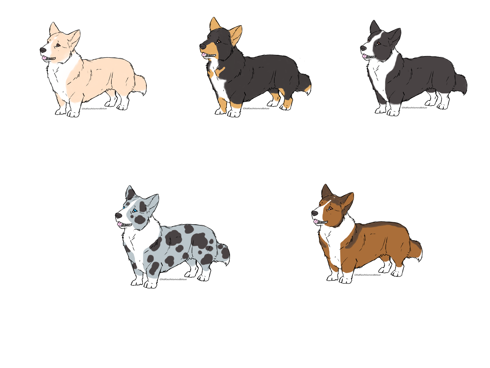 Corgi Import Sheet -(OPEN) by RoseIceKennels on DeviantArt