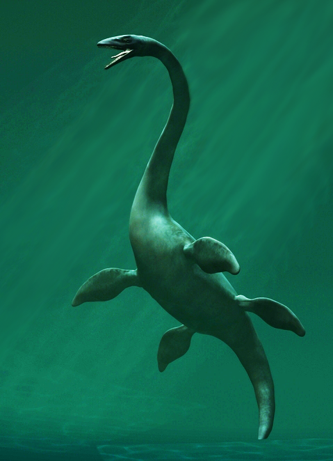 Elasmosaurus set by seleneyue on DeviantArt