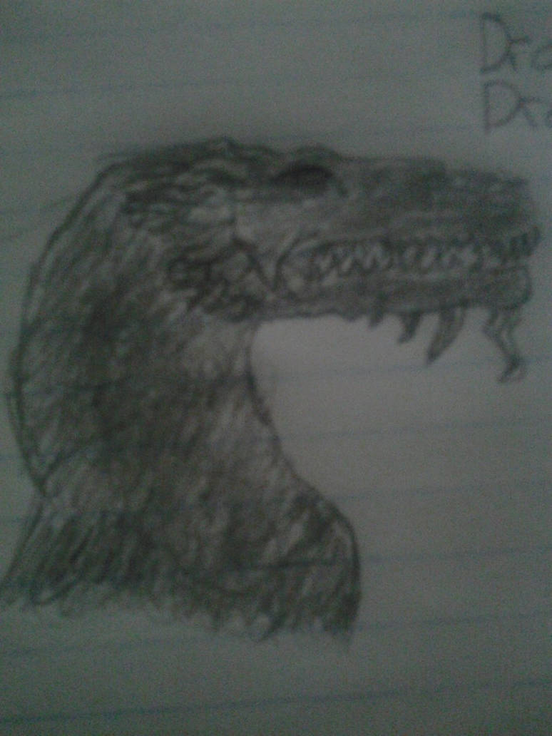 draco the dragon series 1 picture 3 by dragondreamer04 on DeviantArt