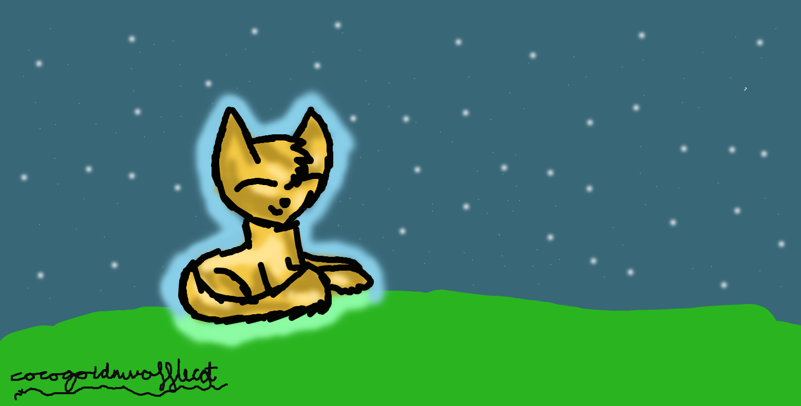 Shining Star (First Drawing) by CocoGoldenWaffleCat on DeviantArt