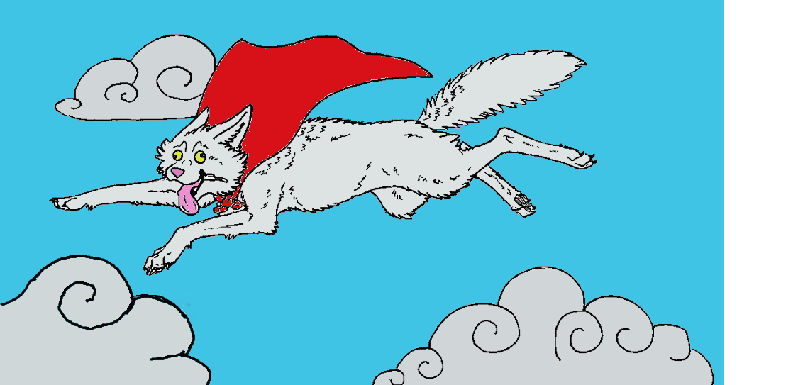 Super Derp wolf By Crazywolfs by Strayokami on DeviantArt