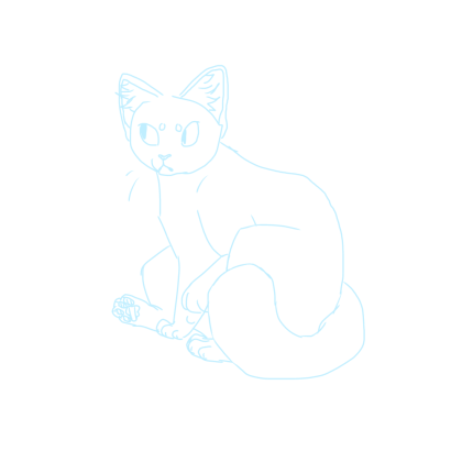 Practicing Cat Anatomy by Yanaskis on DeviantArt