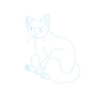 Practicing Cat Anatomy by Yanaskis on DeviantArt