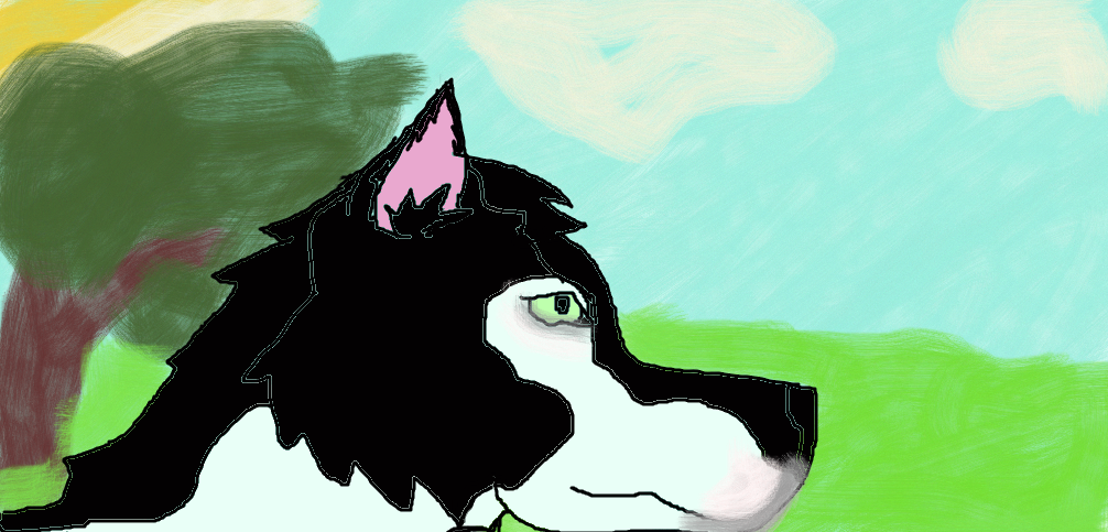 Wolf Drawing :) Husky look alike by Alleycat0410 on DeviantArt