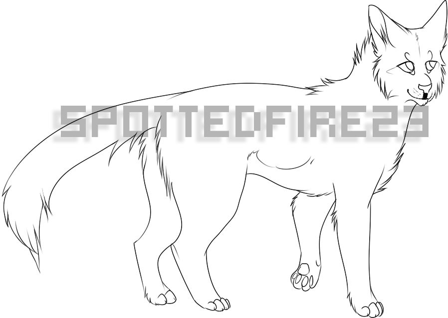 cat lineart :for sale: by Spottedfire23 on DeviantArt