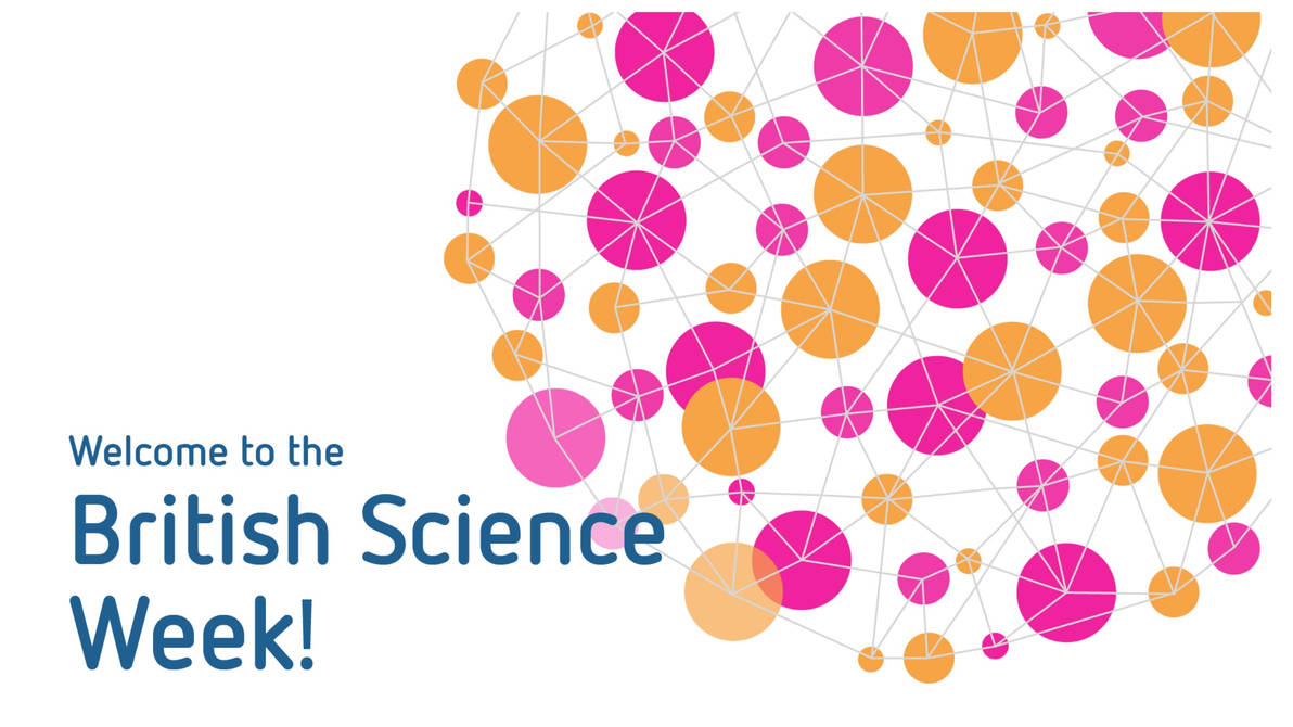 British Science week Lava lamp making Storyboard by ASIMcarnage on ...
