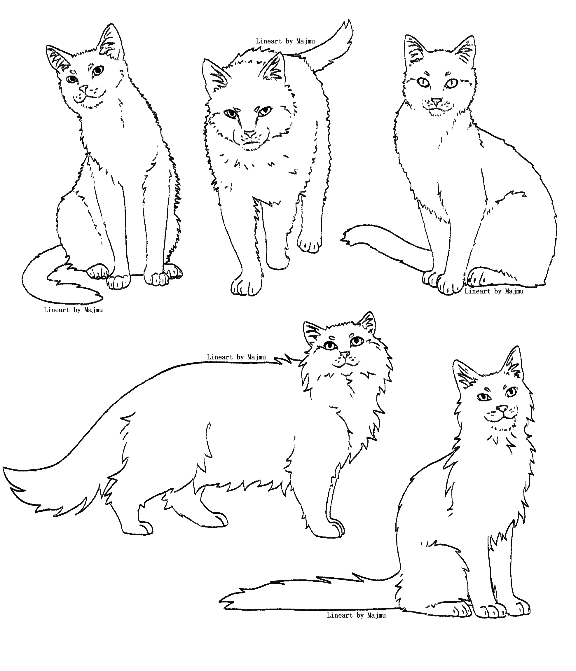 Free cat lineart by majmu on DeviantArt