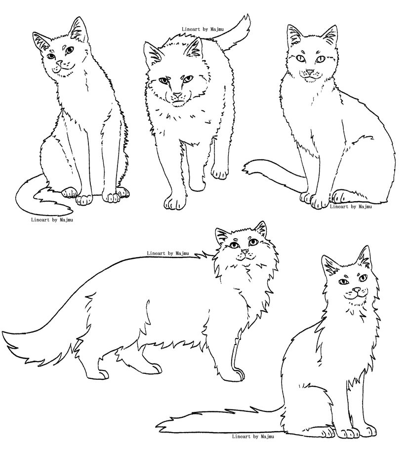 Free cat lineart by majmu on DeviantArt