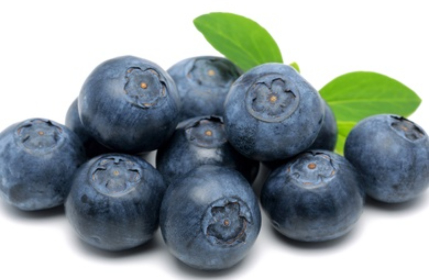 Last Night Stand by Blissfits on DeviantArt