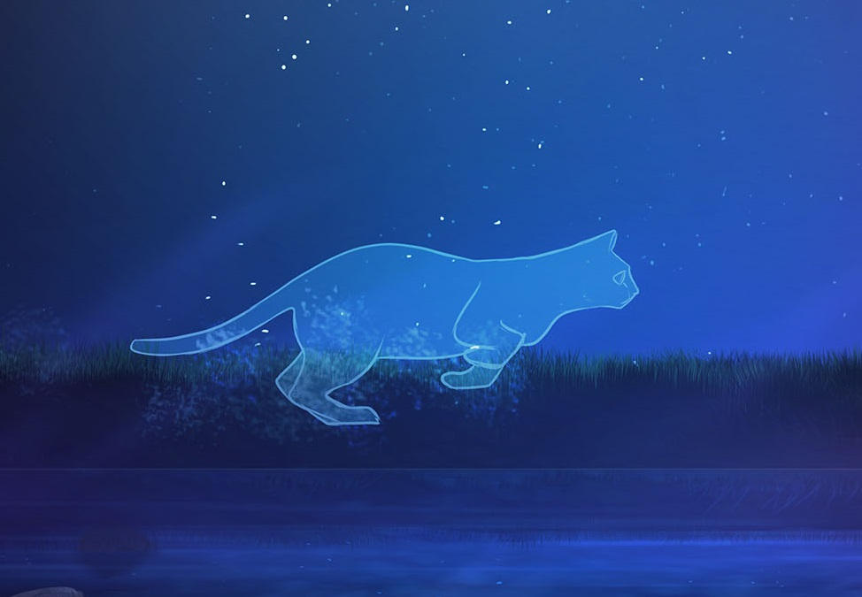 StarClan run cycle by heylorlass on DeviantArt