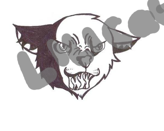 Angry Cat (Pencil Sketch) by Lilicats on DeviantArt