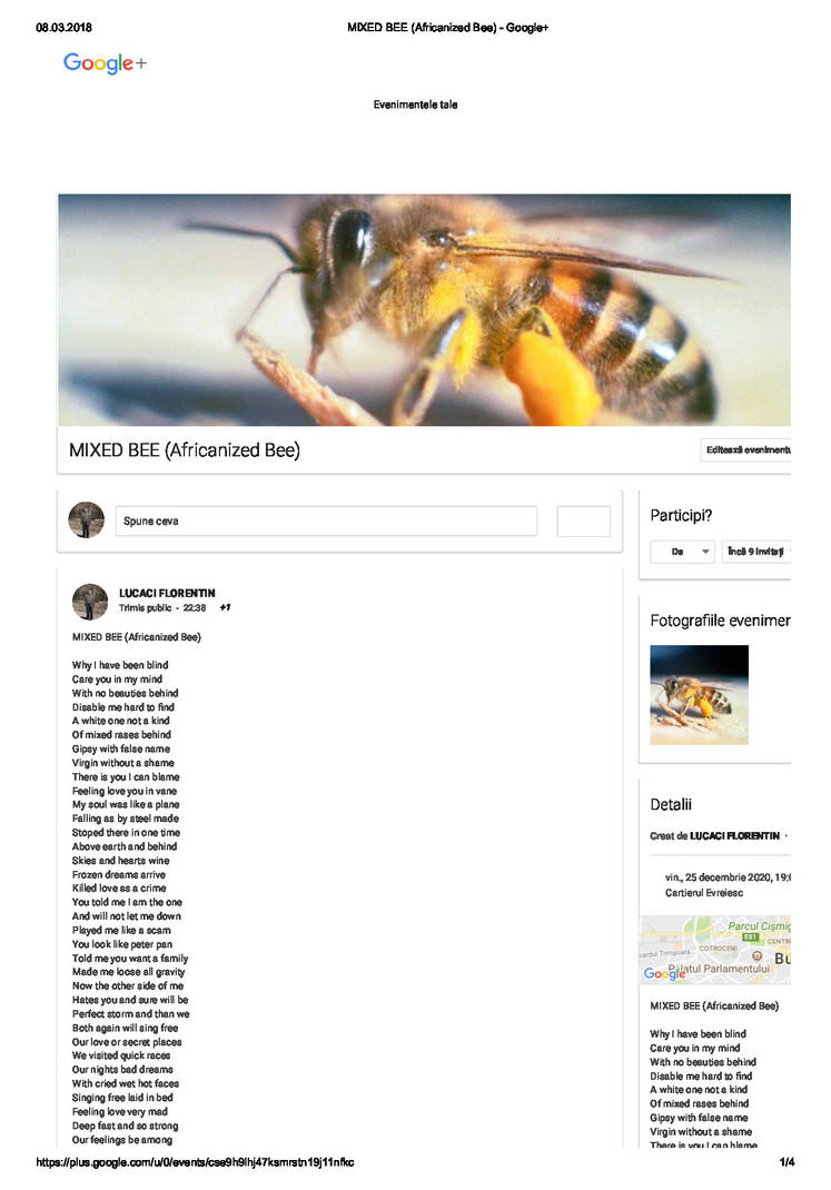 MIXED BEE (Africanized Bee) by LucaciFlorentin on DeviantArt