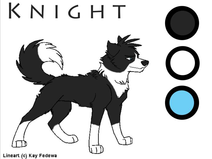 Knight Reference Sheet by DaisyDukeDandie on DeviantArt