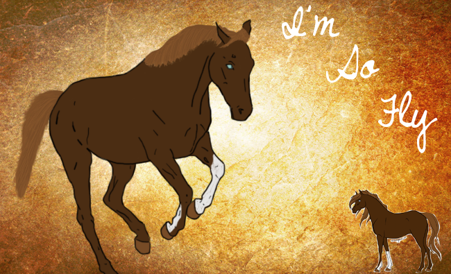 Fly Reference Sheet by DaisyDukeDandie on DeviantArt