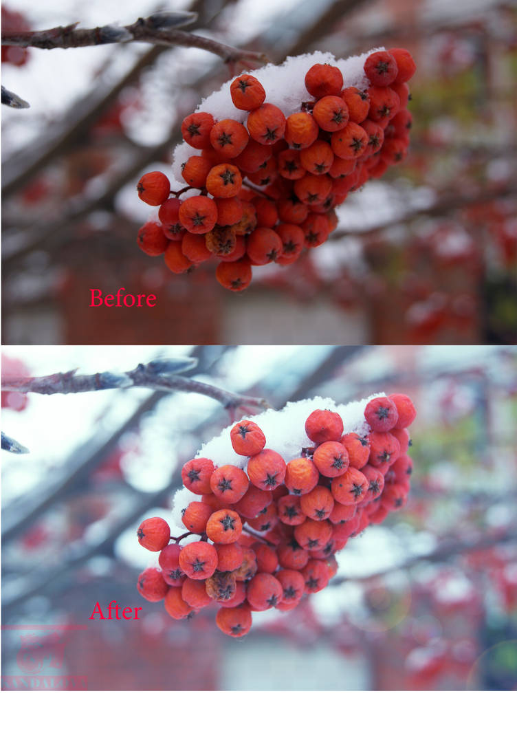 NKs Rowanberry action by akinakoksa on DeviantArt