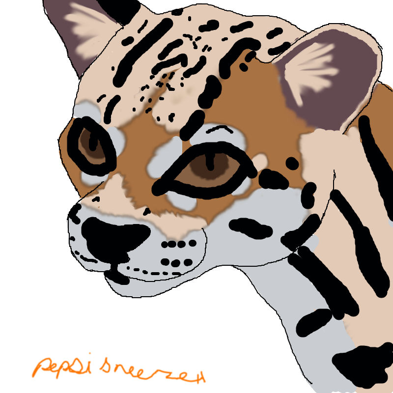 Ocelot by PepsiSneeze on DeviantArt