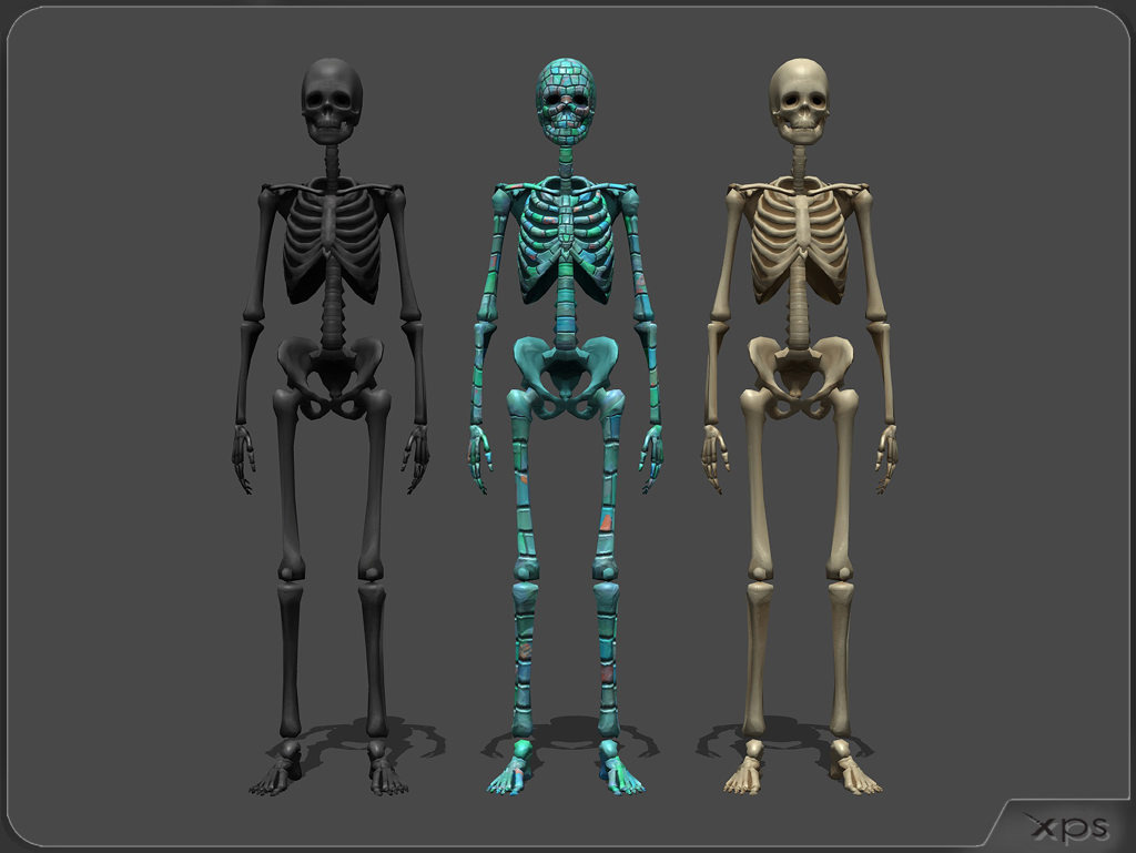 Skeleton by aleksiszet by aleksiszet on DeviantArt