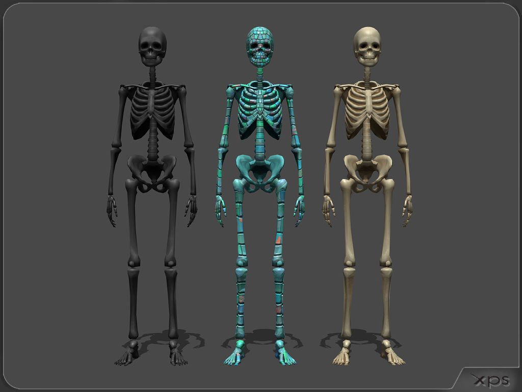 Skeleton by aleksiszet by aleksiszet on DeviantArt