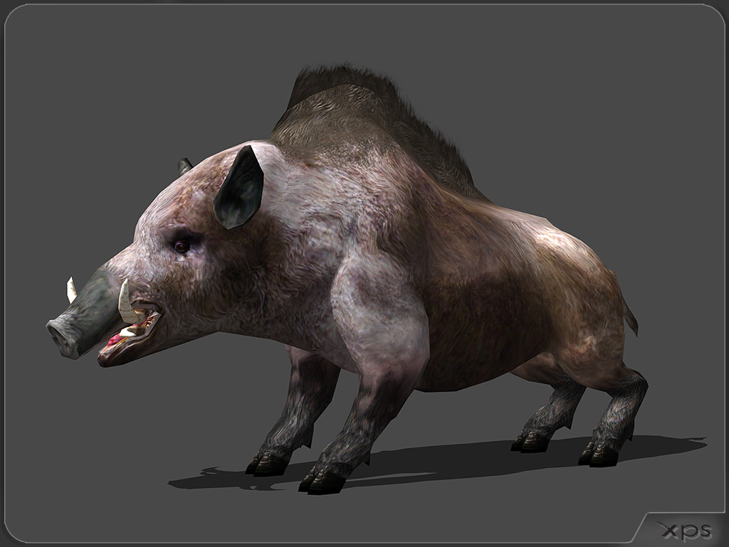 Boar by aleksiszet by aleksiszet on DeviantArt
