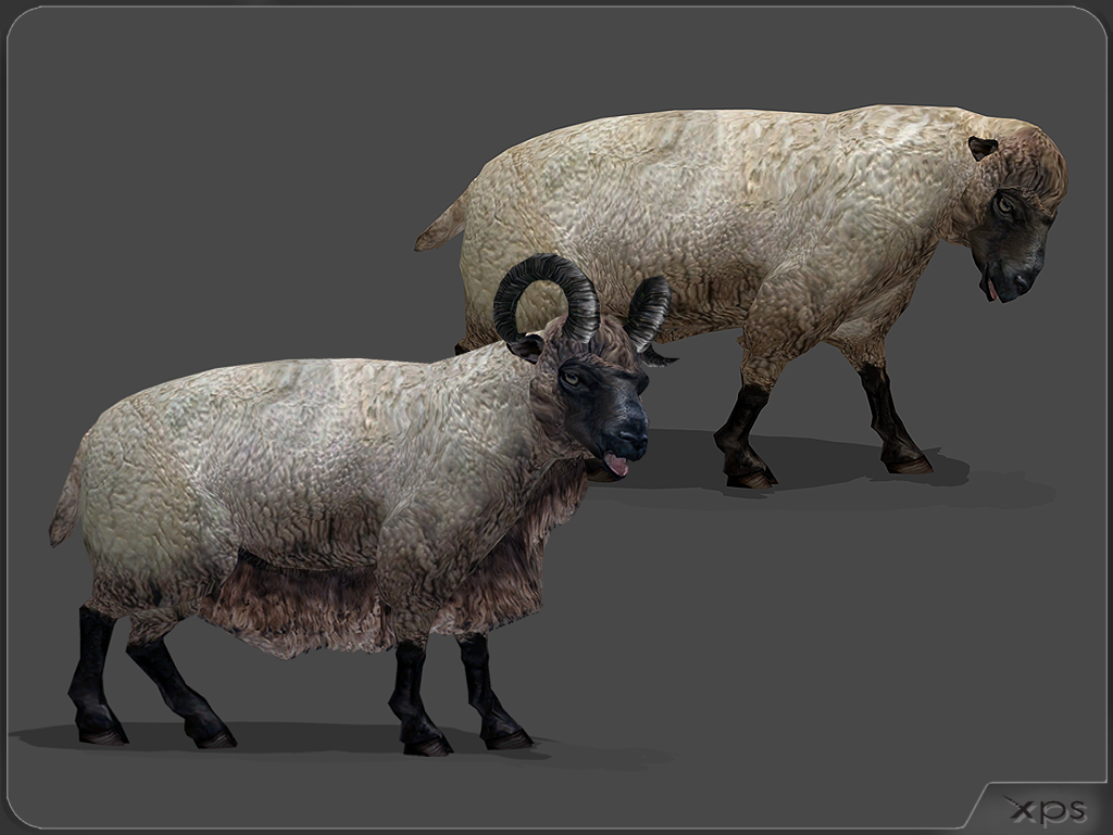 Sheep by aleksiszet by aleksiszet on DeviantArt