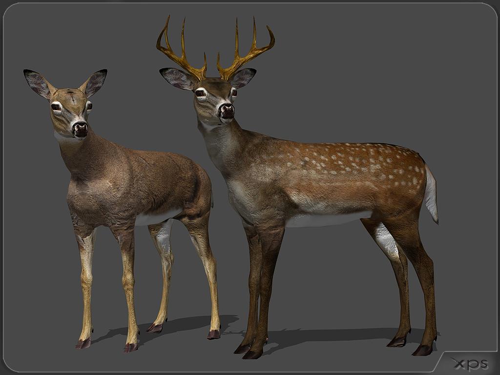 Deer v.1 by aleksiszet by aleksiszet on DeviantArt