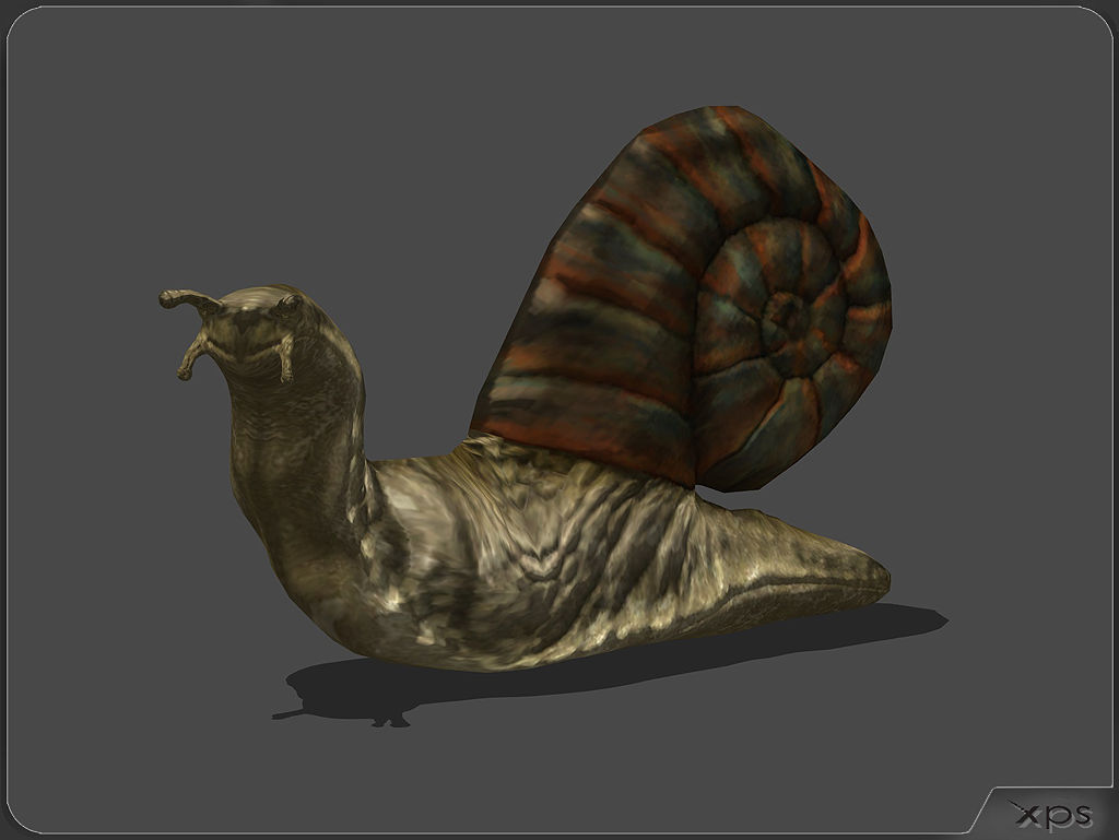 Snail by aleksiszet by aleksiszet on DeviantArt