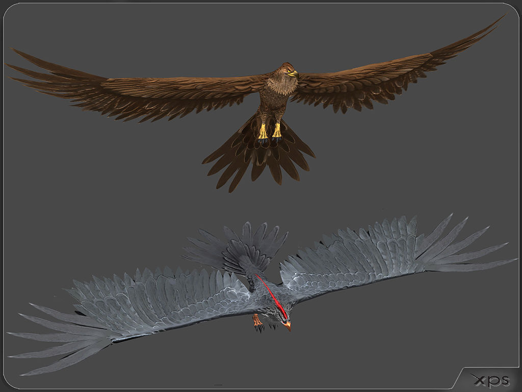 Eagle by aleksiszet by aleksiszet on DeviantArt