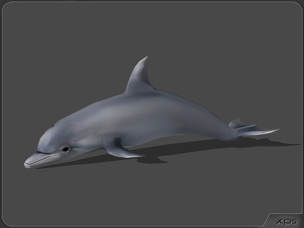 Dolphin v.1 by aleksiszet by aleksiszet on DeviantArt