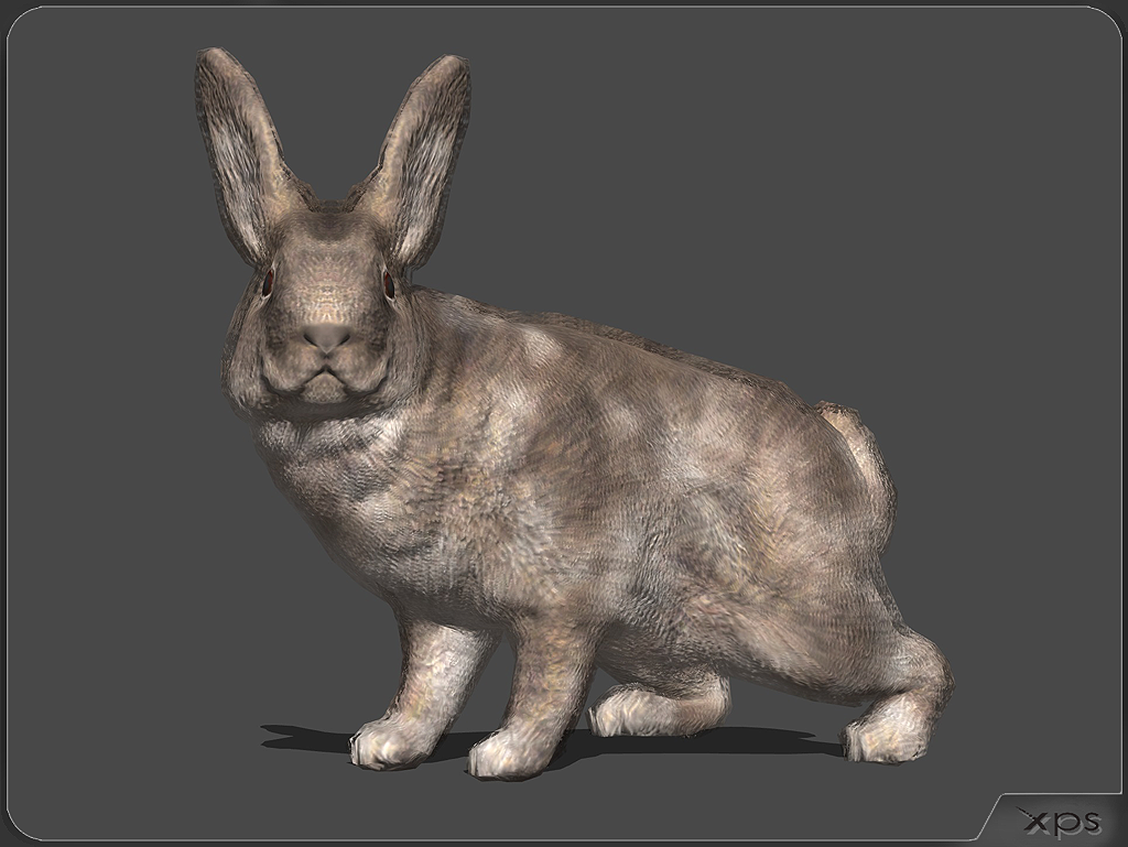 Rabbit by aleksiszet by aleksiszet on DeviantArt