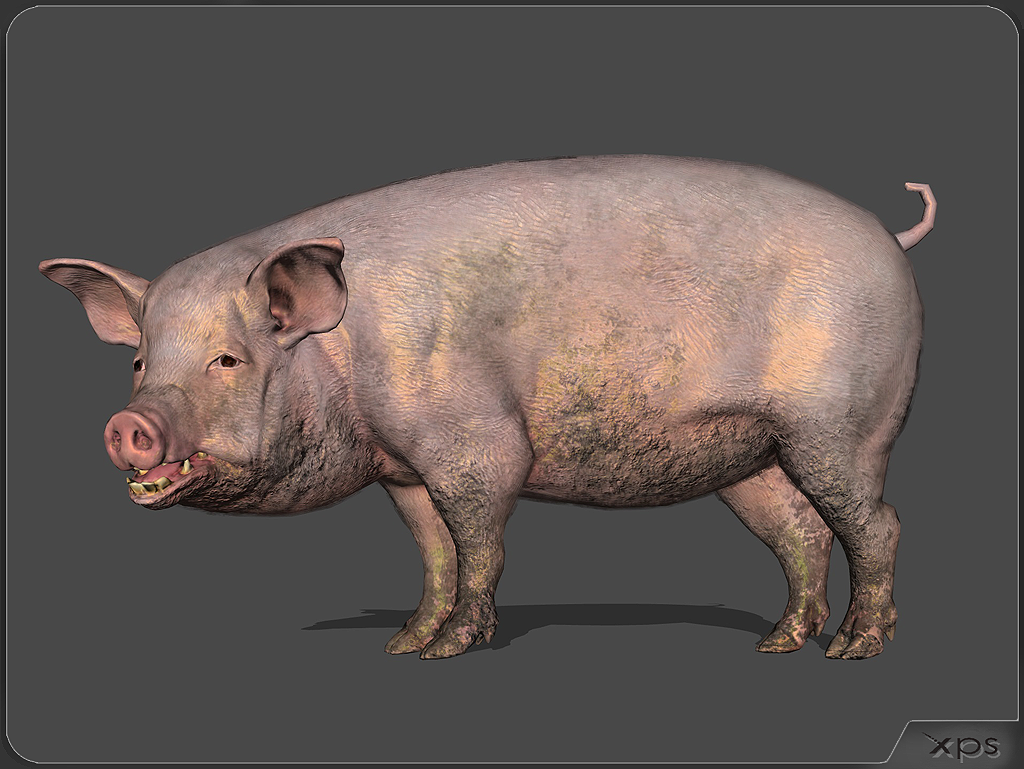 Pig by aleksiszet by aleksiszet on DeviantArt