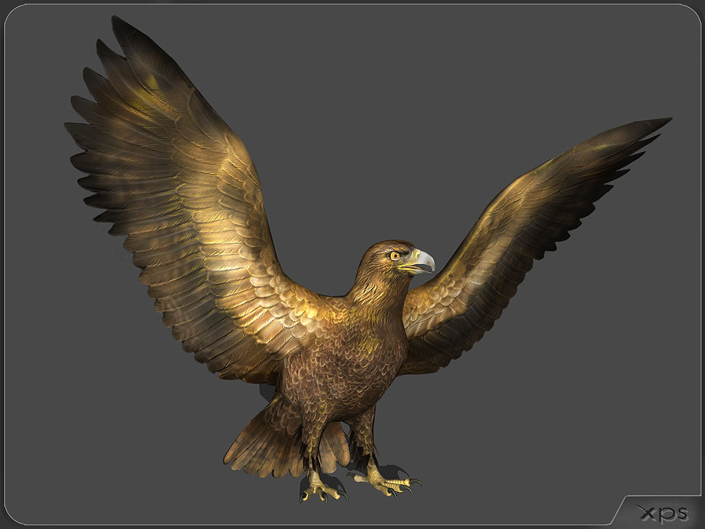 Eagle v.1 by aleksiszet by aleksiszet on DeviantArt