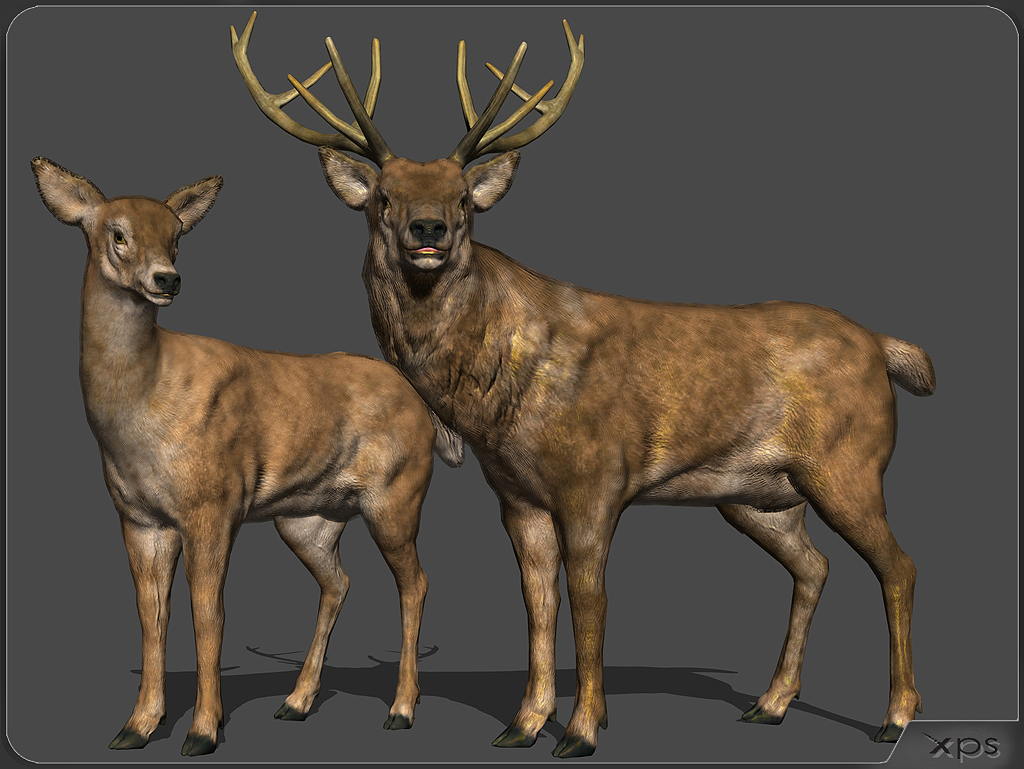 Deer and Doe by aleksiszet by aleksiszet on DeviantArt