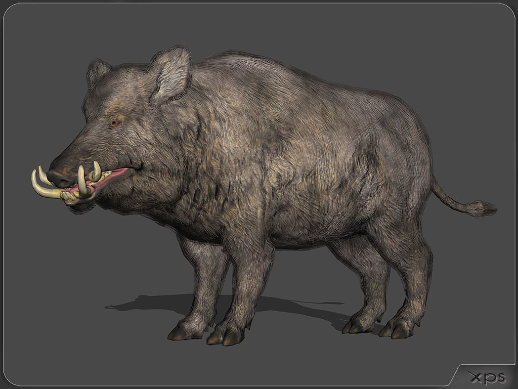 Boar (NoD) by aleksiszet by aleksiszet on DeviantArt