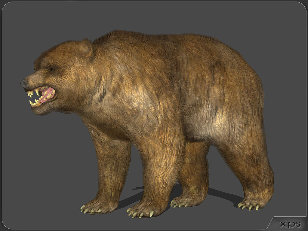 Bear (NoD) by aleksiszet by aleksiszet on DeviantArt