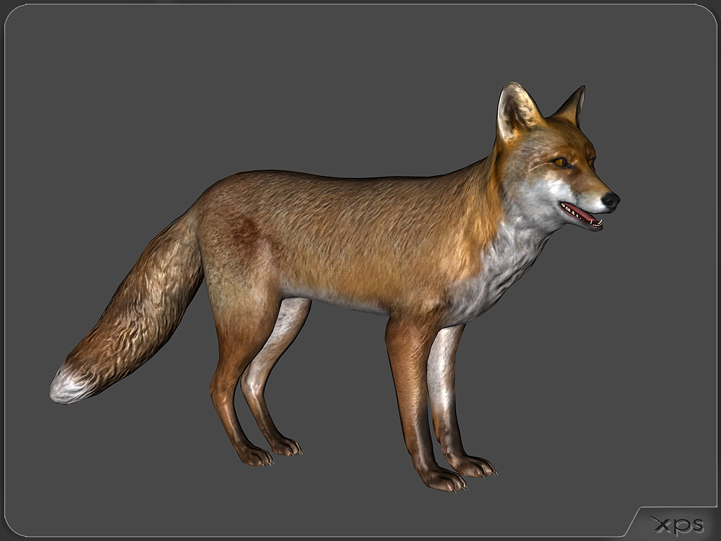 Fox (W) by aleksiszet by aleksiszet on DeviantArt