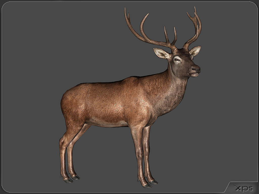 Deer (W) by aleksiszet by aleksiszet on DeviantArt