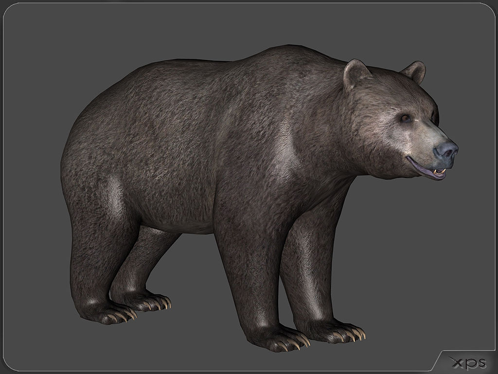 Bear (W) by aleksiszet by aleksiszet on DeviantArt