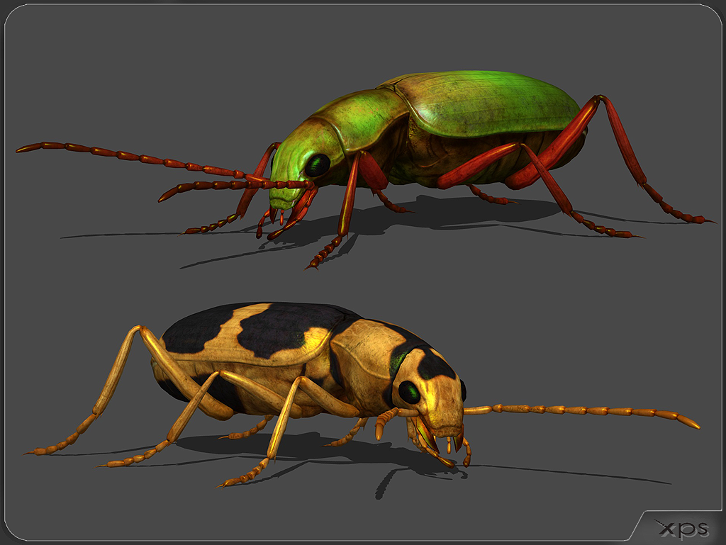 Gomimushi by aleksiszet by aleksiszet on DeviantArt