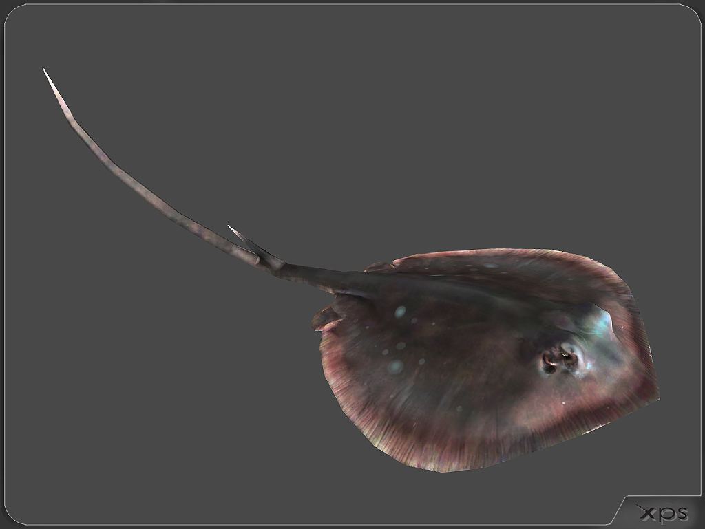 Stingray by aleksiszet by aleksiszet on DeviantArt
