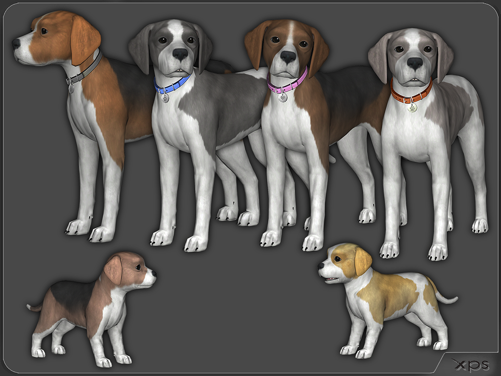 Dog Beagle (TS4) by aleksiszet by aleksiszet on DeviantArt
