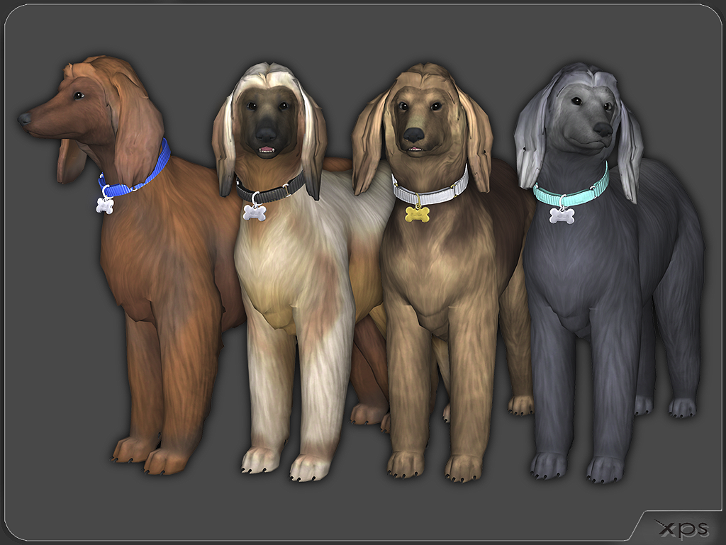 Dog Afghan Hound (TS4) by aleksiszet by aleksiszet on DeviantArt
