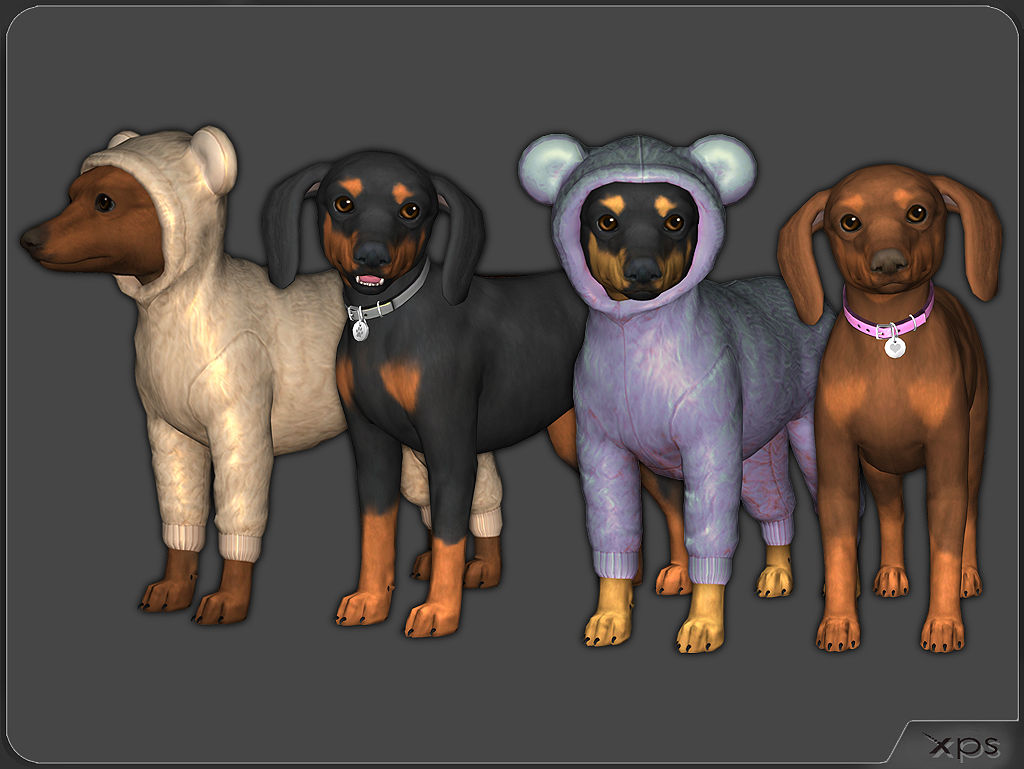 Dog Dachshund (TS4) by aleksiszet by aleksiszet on DeviantArt