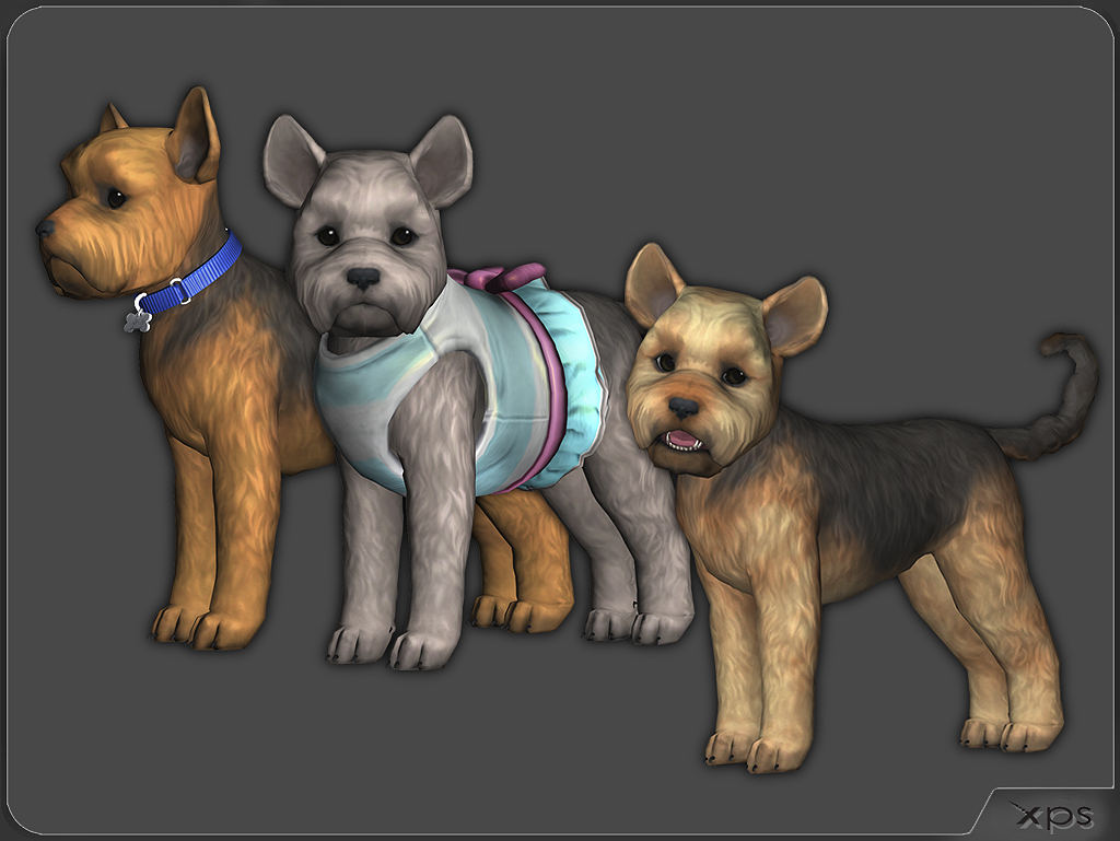 Dog Yorkshire Terrier (TS4) by aleksiszet by aleksiszet on DeviantArt