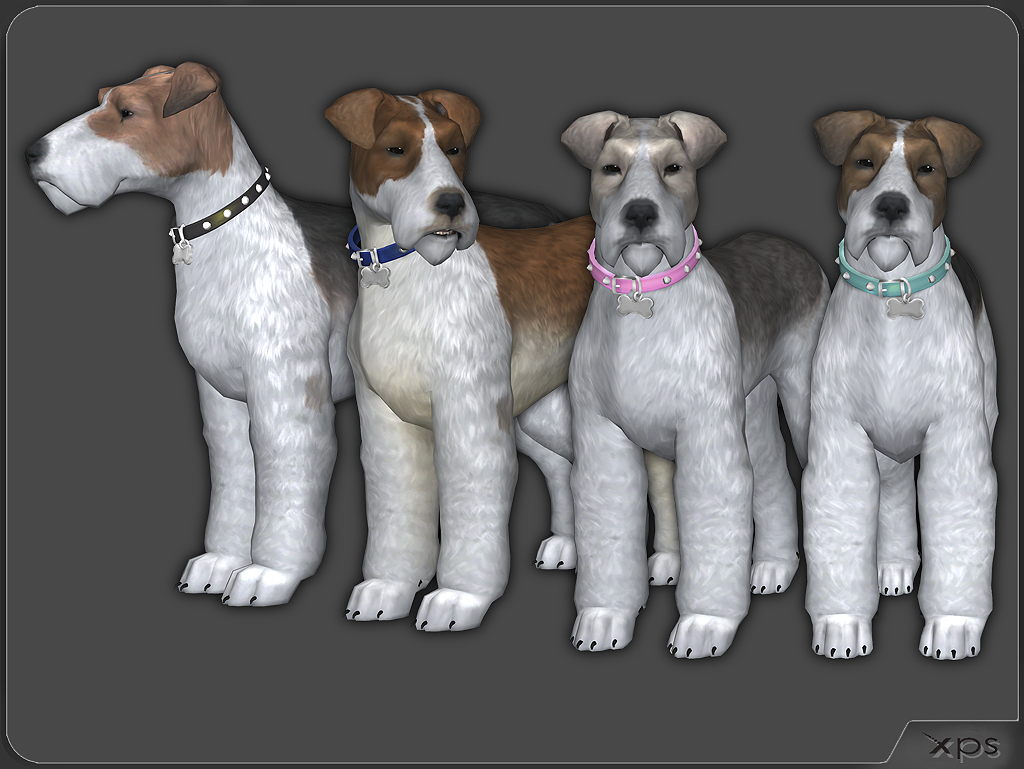 Dog Wire Fox Terrier (TS4) by aleksiszet by aleksiszet on DeviantArt