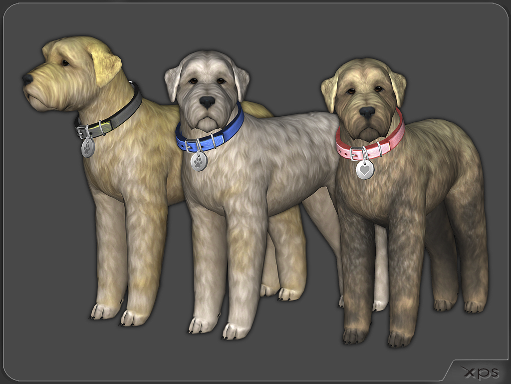 Dog Wheaten Terrier (TS4) by aleksiszet by aleksiszet on DeviantArt