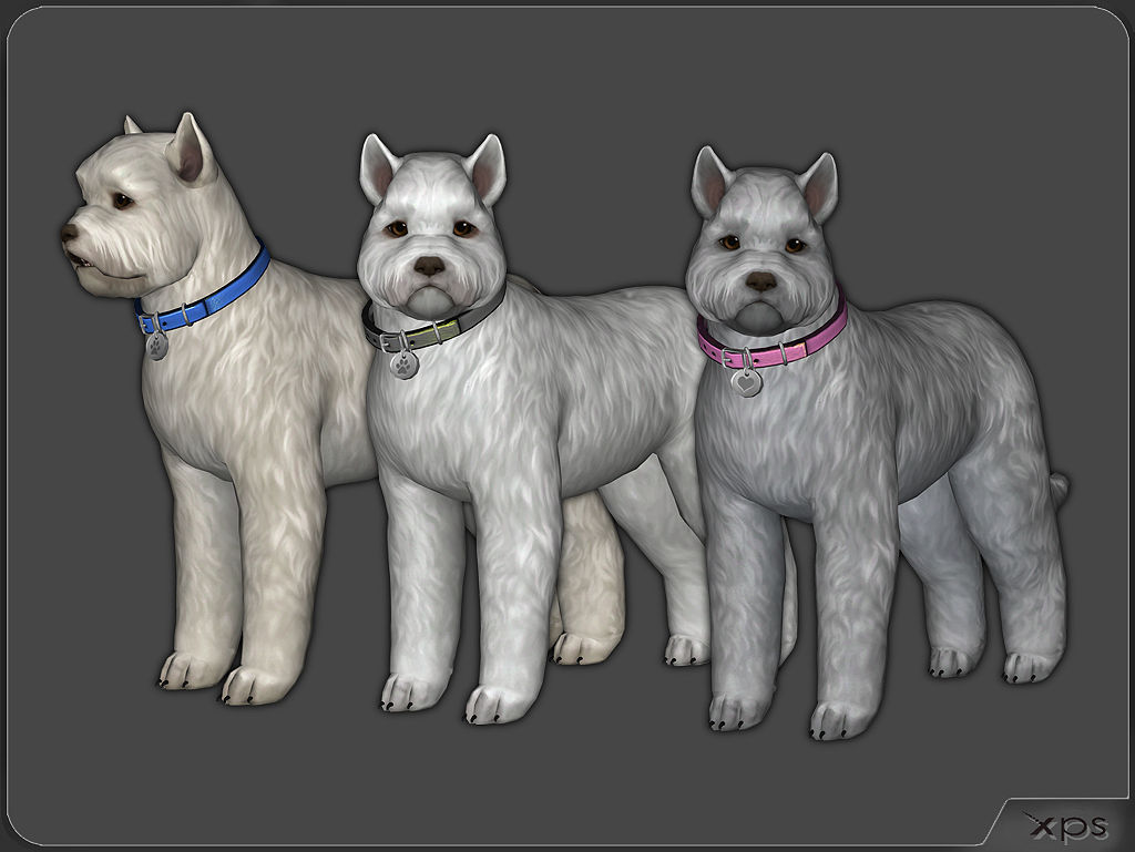 Dog West Highland White Terrier (TS4) by aleksiszet on DeviantArt